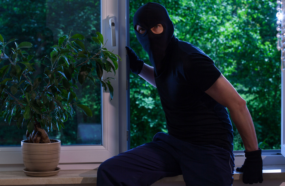 Seven Tips to Protect Your Home from Burglary